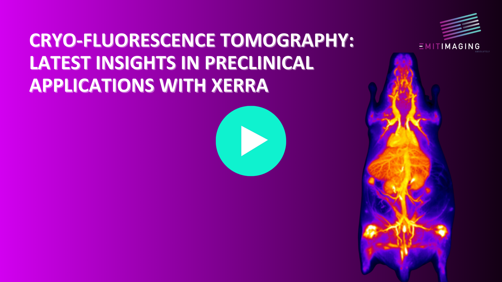 Cryo-Fluorescence Tomography (CFT) Overview - EMIT Imaging Cryo-Fluorescence Tomography (CFT) Overview - EMIT Imaging